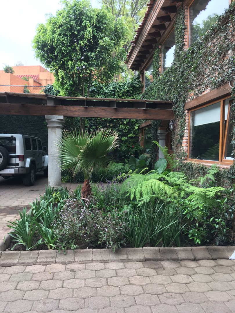 10 Dicas para Ter Um Jardim Lindo Segundo Especialistas em Paisagismo ...