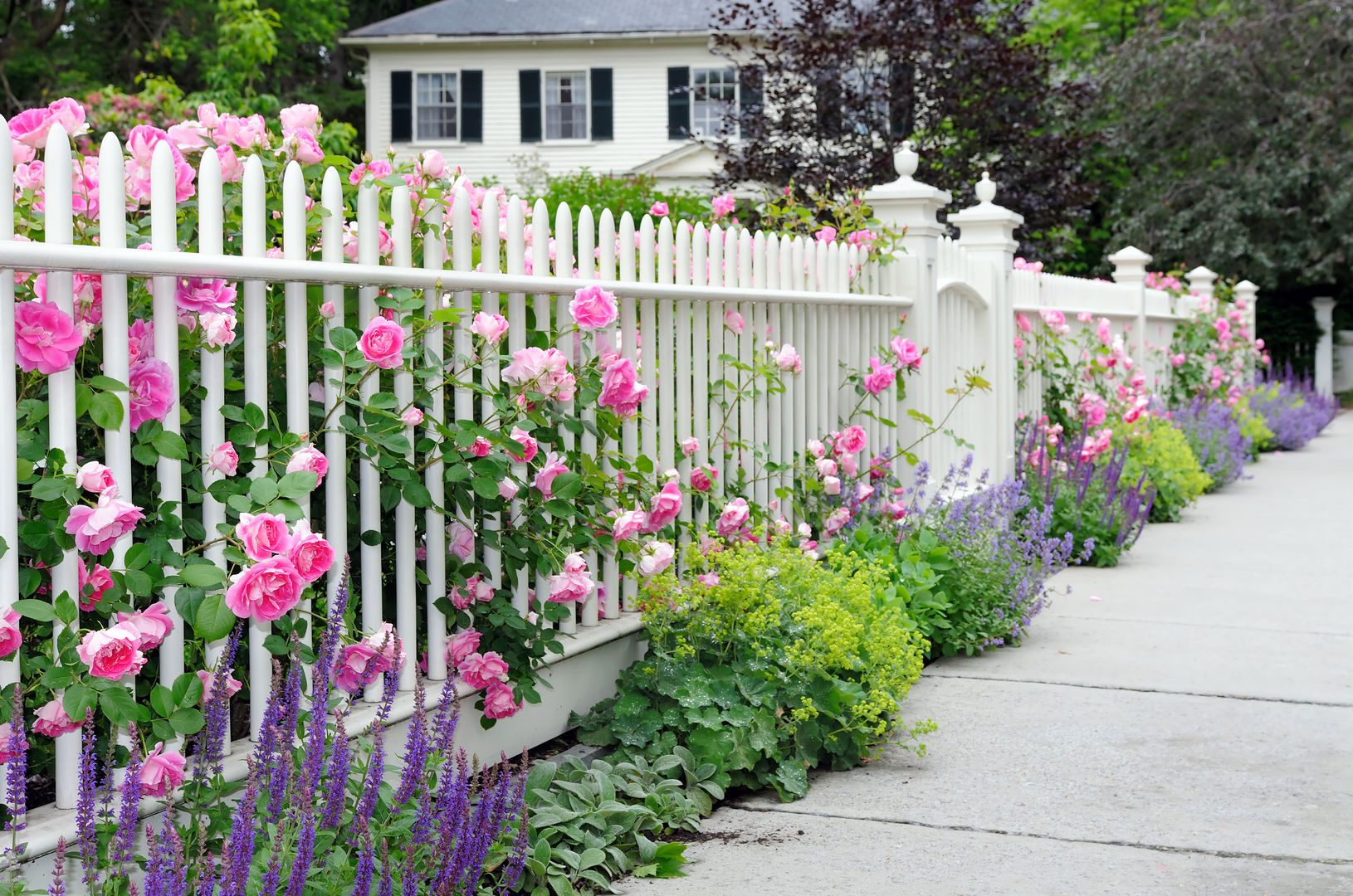 How To Choose The Right Flowers For Your Home | homify