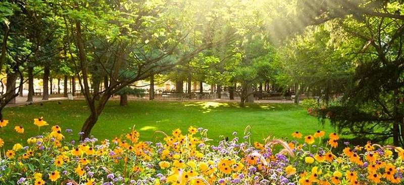 5 consejos para traer la primavera a tu casa | homify