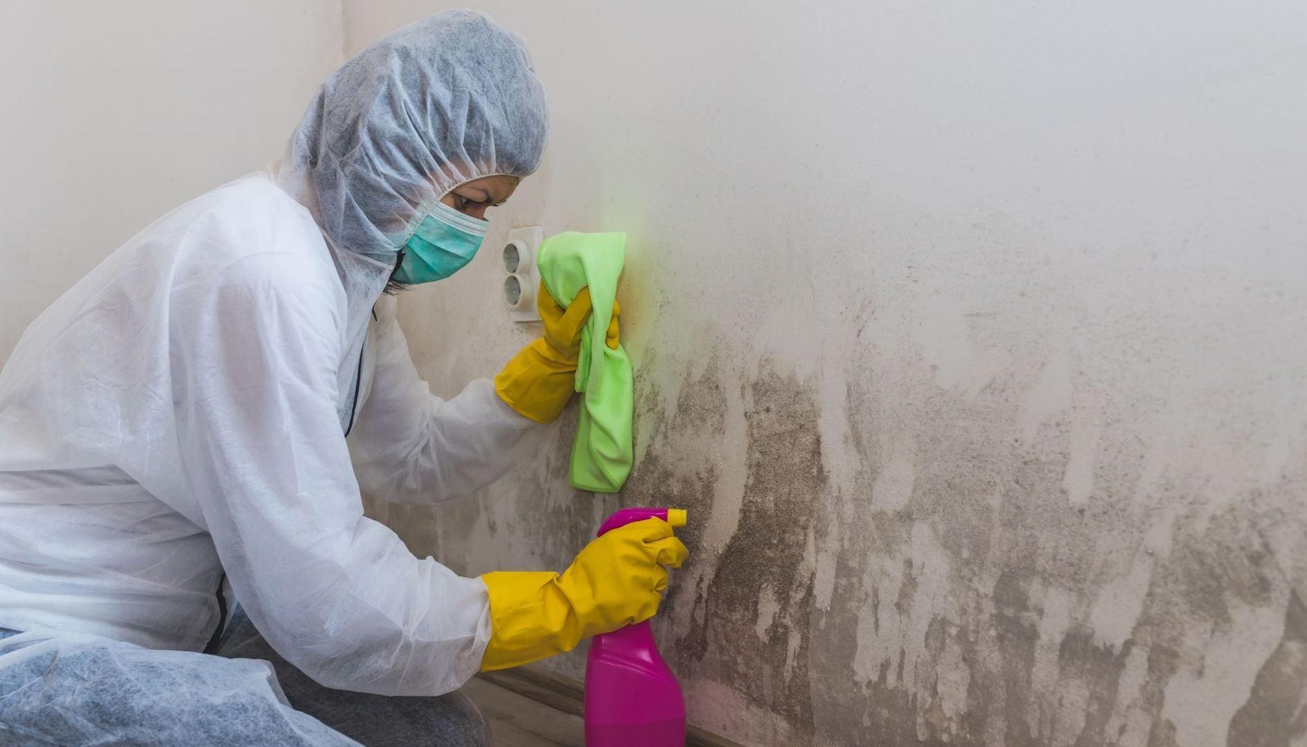 Was tun gegen Stockflecken an der Wand? Ein umfassender Leitfaden | homify